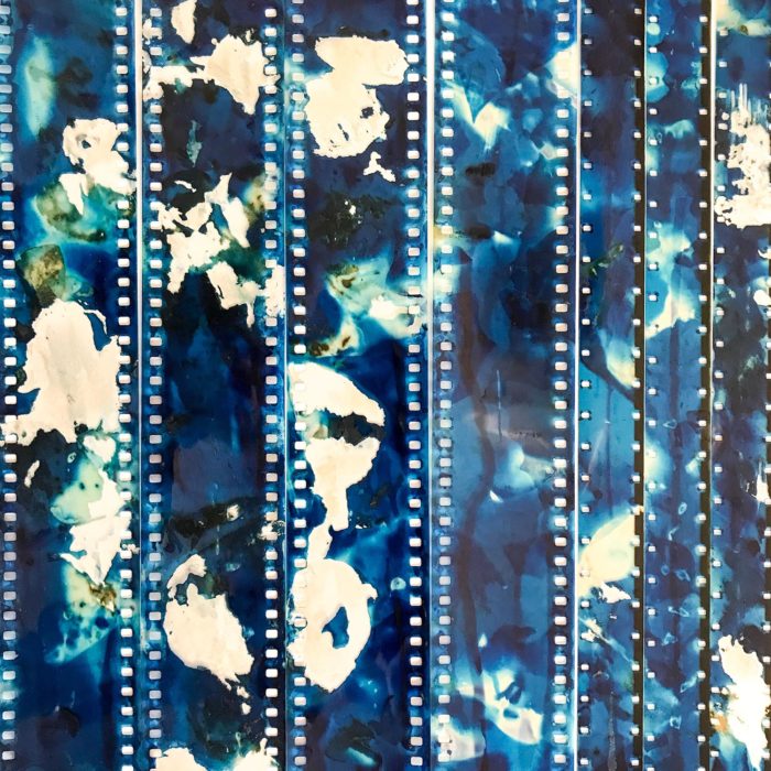 cyanotypes | kate lain
