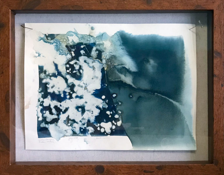cyanotypes | kate lain