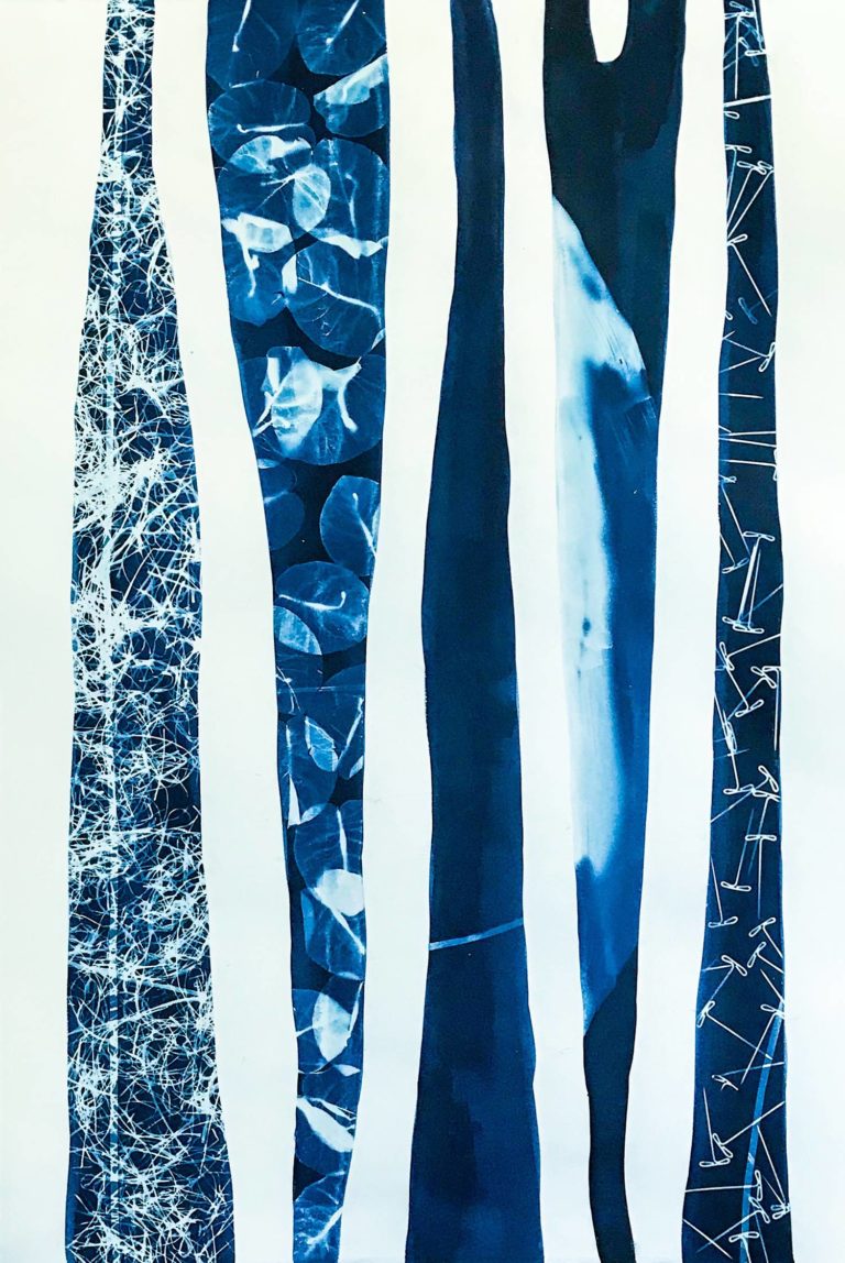 cyanotypes | kate lain