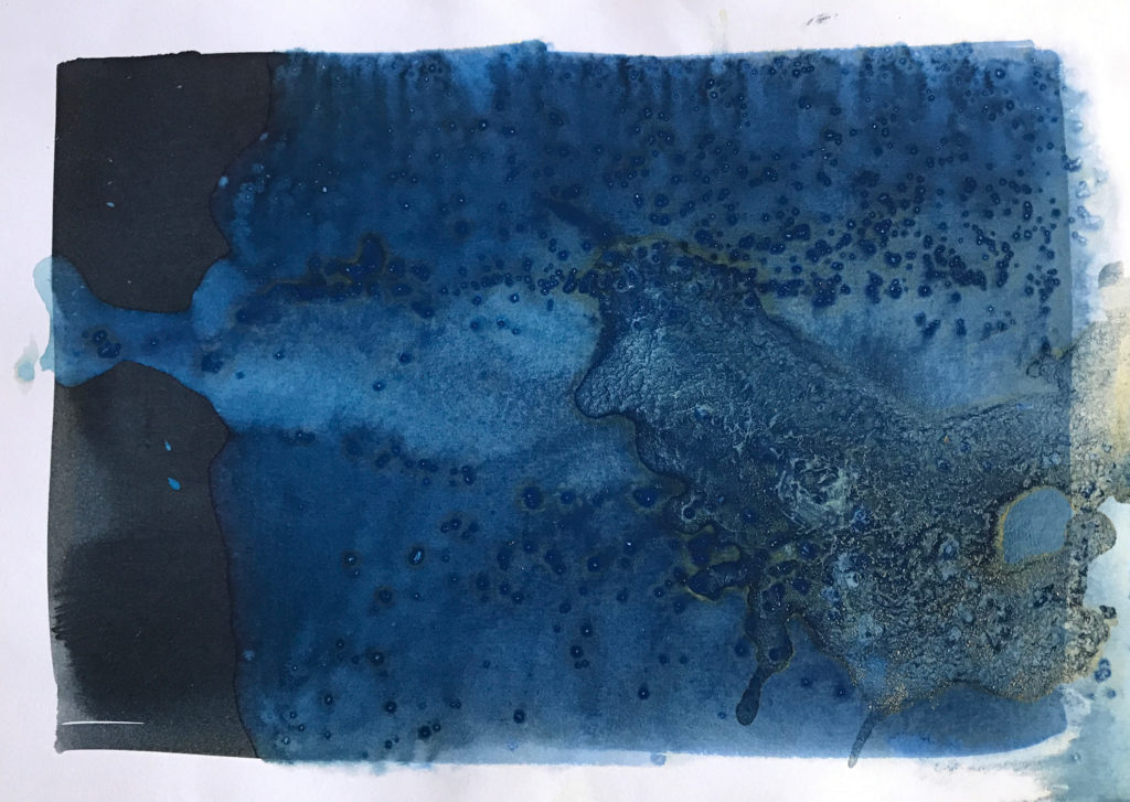 cyanotypes | kate lain