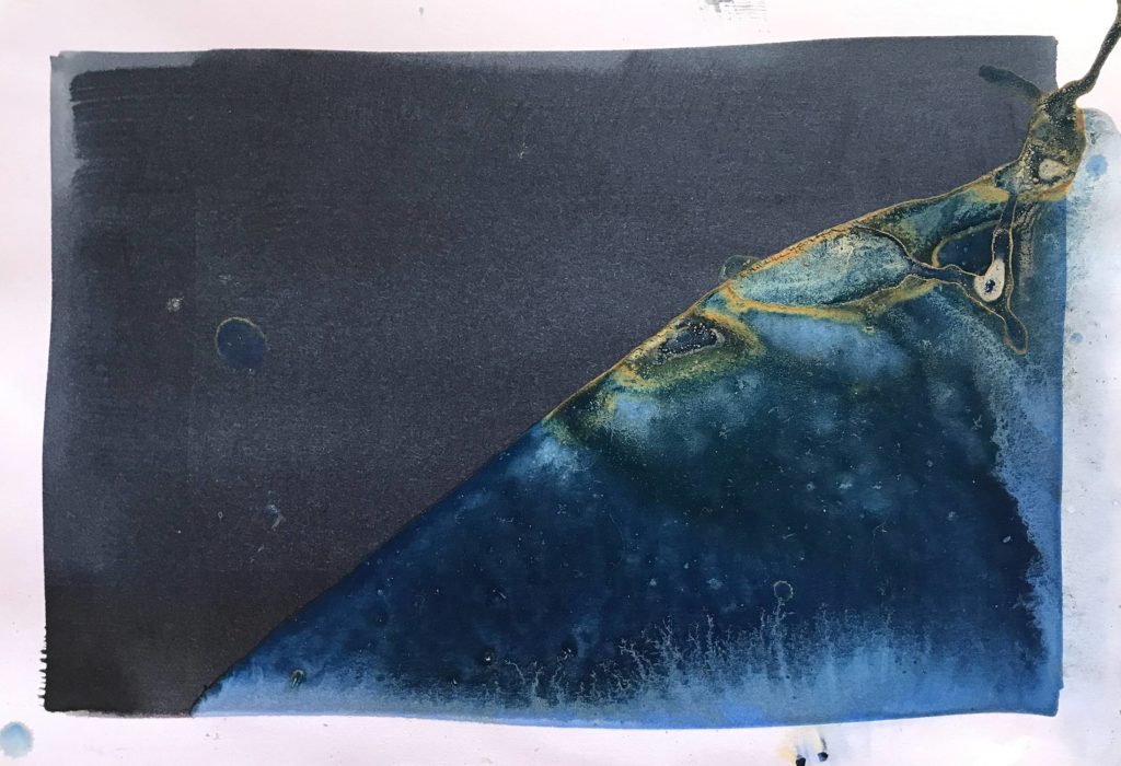 cyanotypes | kate lain