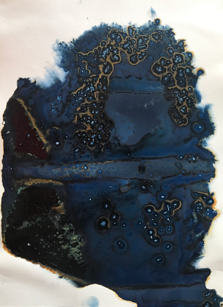 cyanotypes | kate lain